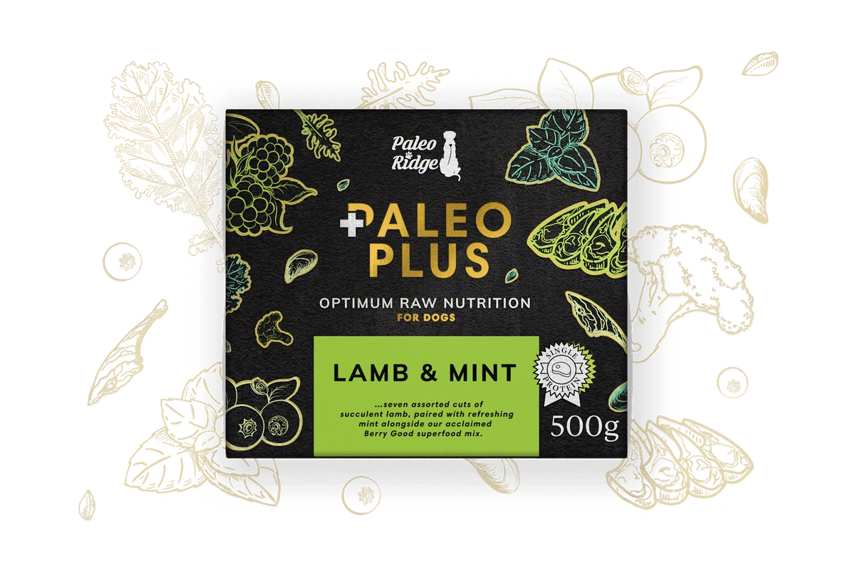 PALEO RIDGE PALEO PLUS LAMB AND MINT 500G – Brunos Dinner