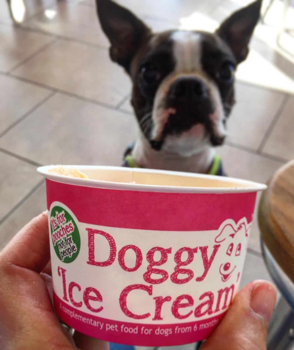 WAGGY DOGGY DOODAHS DOGGY ICE CREAM – Brunos Dinner